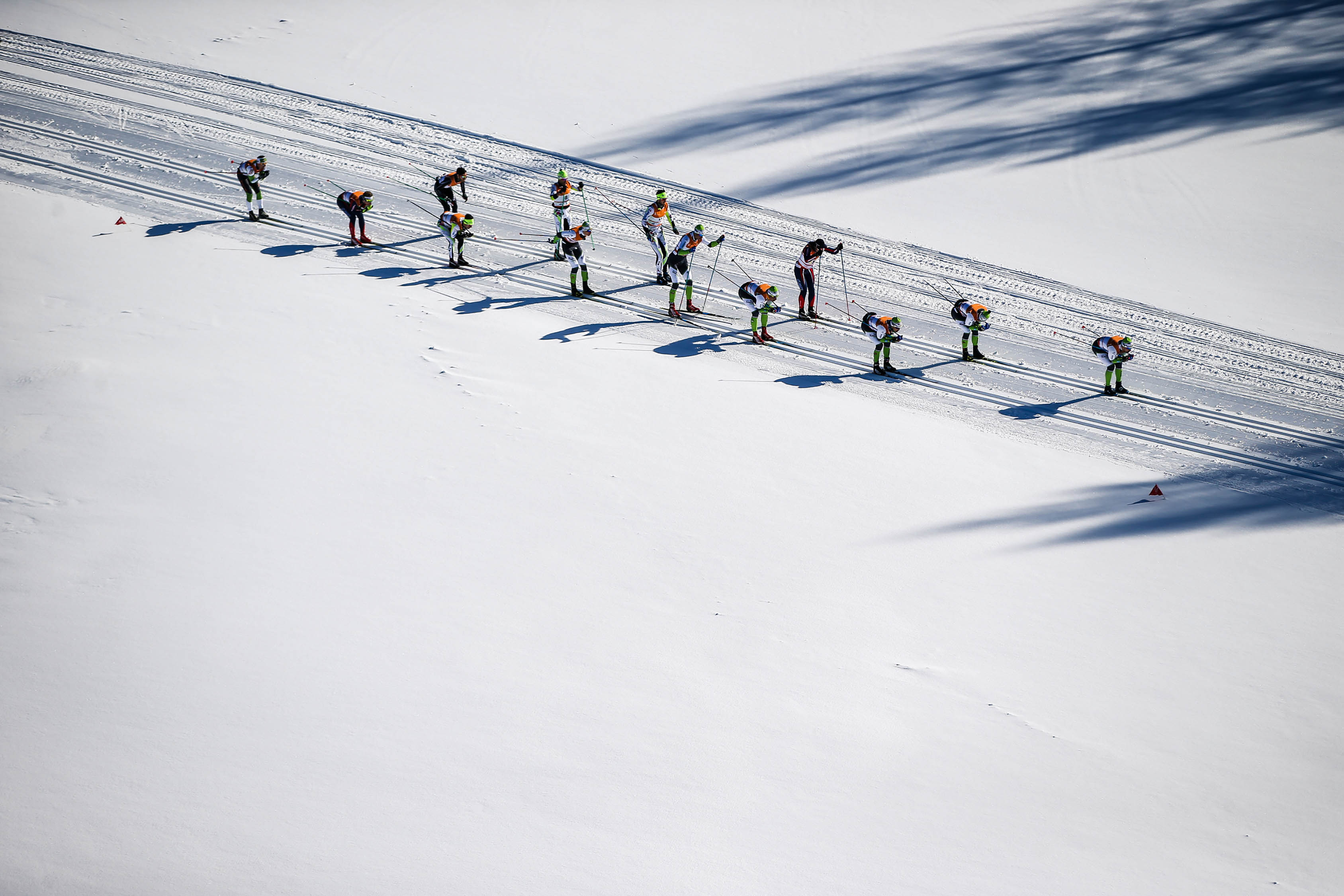 La Viote Monte Bondone Nordic Ski Marathon rinviata al 2022 | Dove Sciare